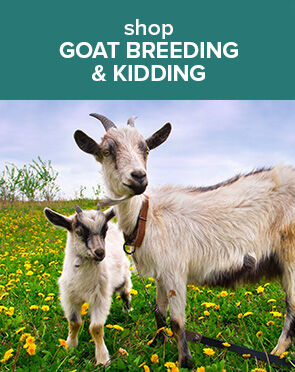 Goat Supplies | The Cheshire Horse