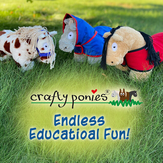 Crafty Ponies | The Cheshire Horse