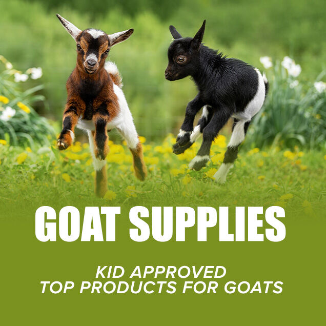 Goat Supplies | The Cheshire Horse