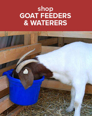 Goat Supplies | The Cheshire Horse