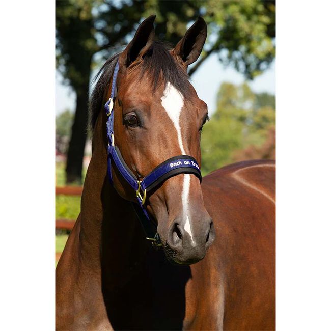 Back on Track Werano Halter | The Cheshire Horse