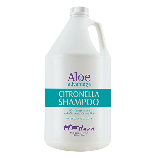 Durvet Aloe Advantage Citronella Shampoo | The Cheshire Horse