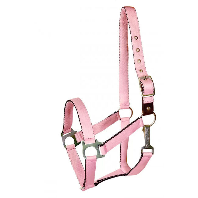 Gatsby Ultra Soft Nylon Safety Halter | The Cheshire Horse