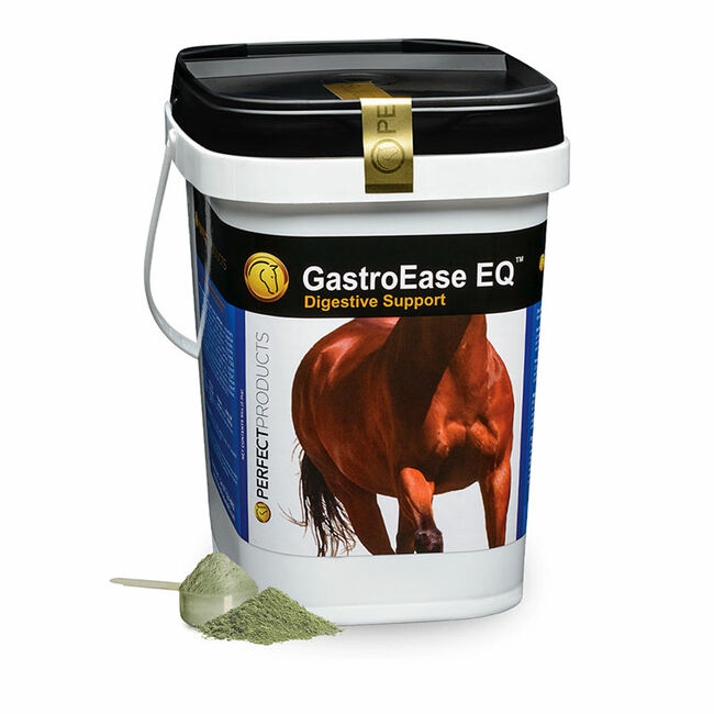 Perfect Products GastroEase EQ - Complete Digestive Support Powder ...