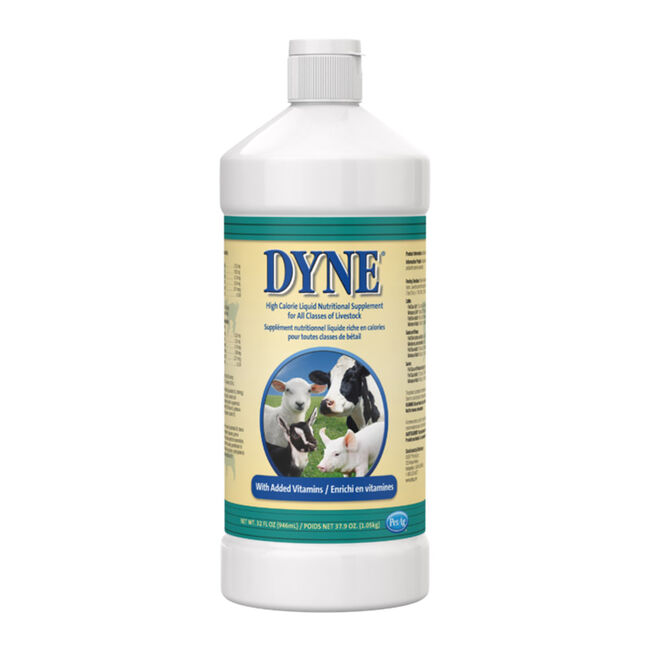 PetAg Dyne High Calorie Liquid Nutritional Supplement for Livestock ...
