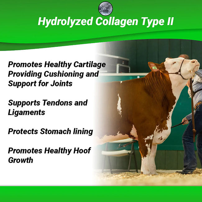 OptiWize Collagen Plus for Livestock | The Cheshire Horse