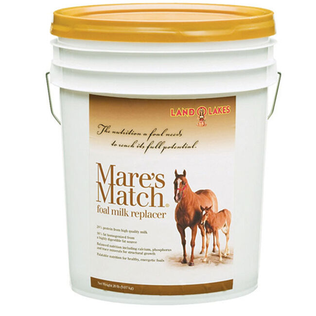 Foal Milk Replacer Recipe - Banana-breads.com