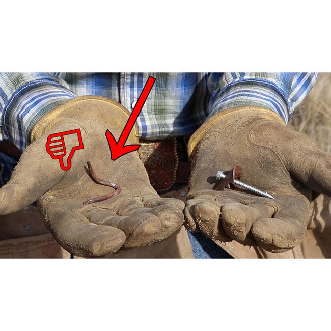 Cat's Claw Fasteners for Softwoods - 170-Count | The Cheshire Horse