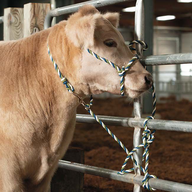 Weaver Livestock Adjustable Poly Neck Rope | The Cheshire Horse