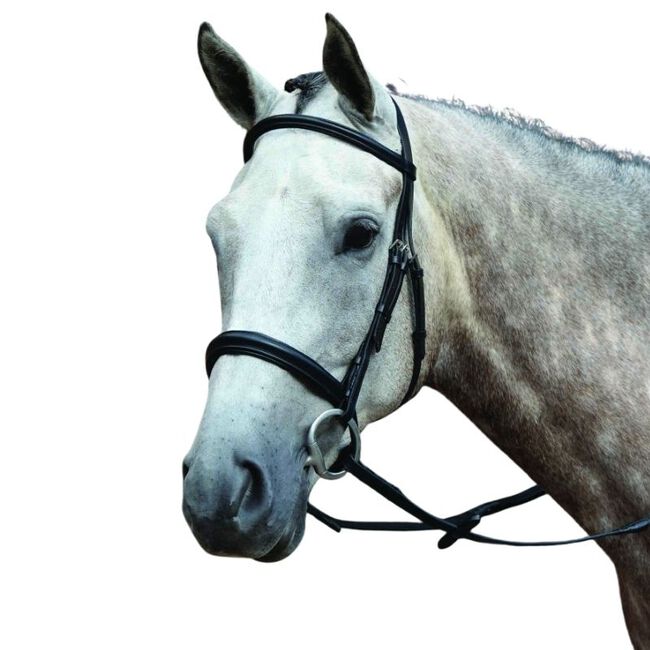 Collegiate Essential Padded Raised Cavesson Bridle | The Cheshire Horse
