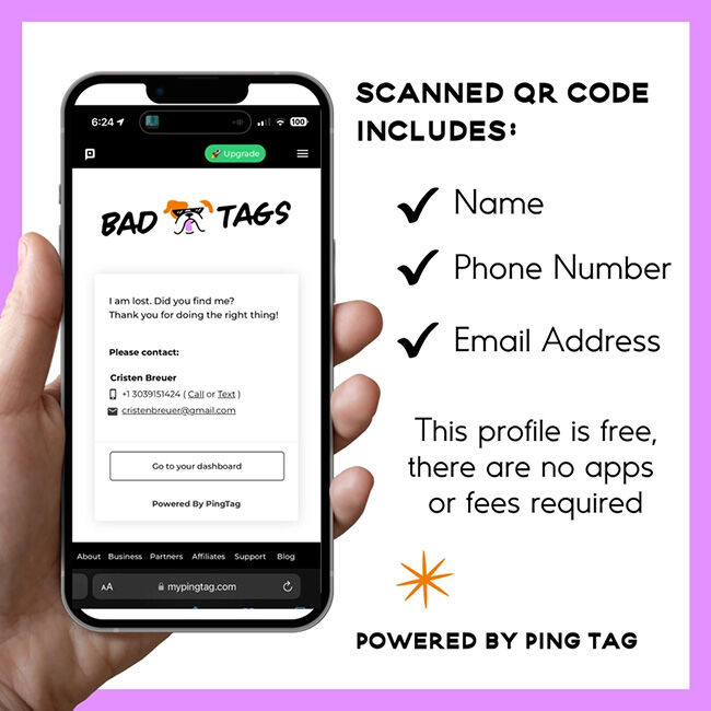 Bad Tags Dog ID Tag with QR Code - I'm Nakey Under This - Purple | The ...