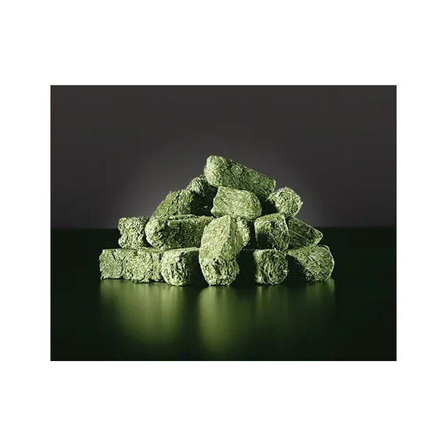 Semican Alfalfa Mini Cubes - 50 lb | The Cheshire Horse