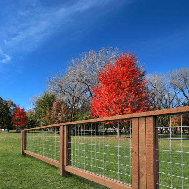 Behlen Country Hog Panel - 16' | The Cheshire Horse