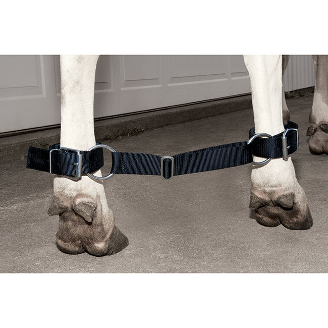 Weaver Livestock Deluxe Adjustable Cow Hobbles | The Cheshire Horse