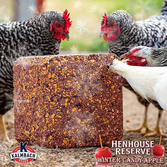 Kalmbach Feeds Henhouse Reserve Supplement Block - Candy Apple - 20 lb ...