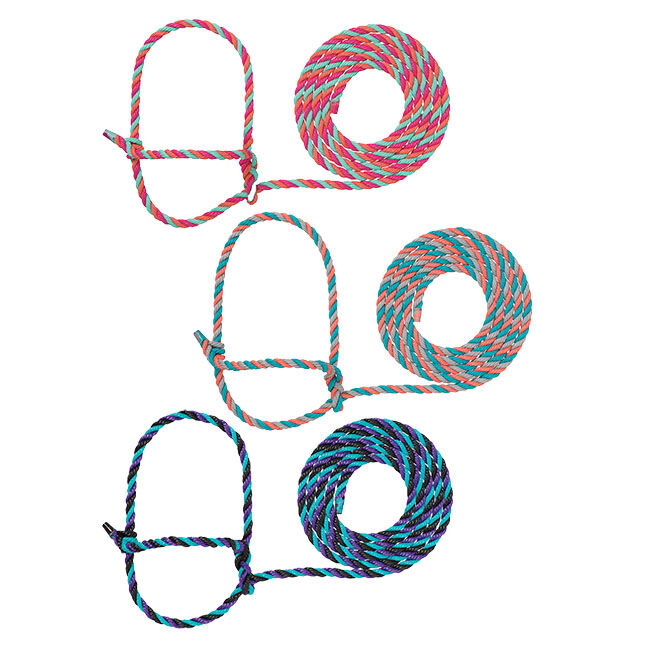 Weaver Livestock Cattle Rope Halter | The Cheshire Horse