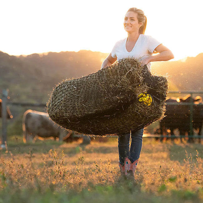 Texas Haynet Square Bale Hay Net | The Cheshire Horse