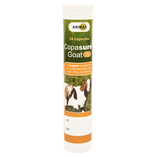 Animax Copasure for Goats - 2g Bolus | The Cheshire Horse