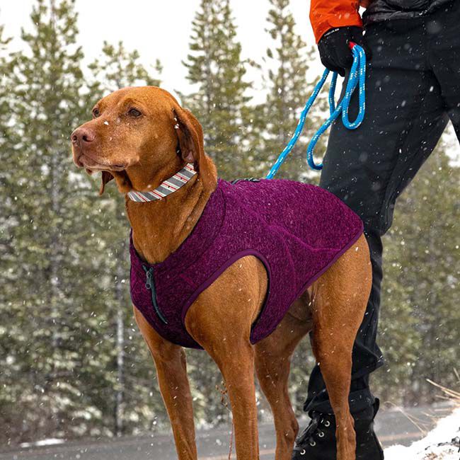 Kurgo K9 Core Dog Sweater - Heather Violet | The Cheshire Horse