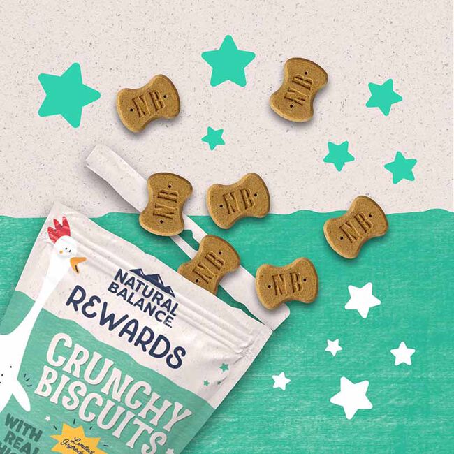 Natural Balance Rewards Crunchy Biscuits with Real Chicken - Sweet ...