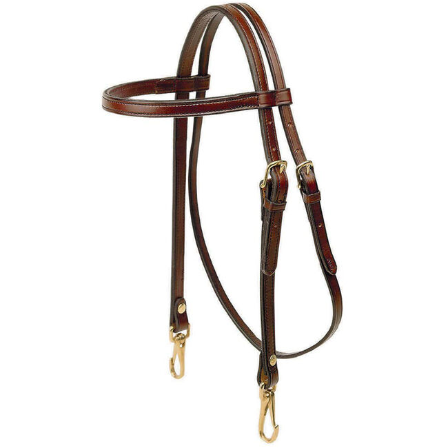arabian headstall