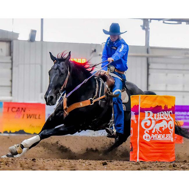 Breyer ATP Power - Amberley Snyder's Barrel Racer - Closeout | The ...