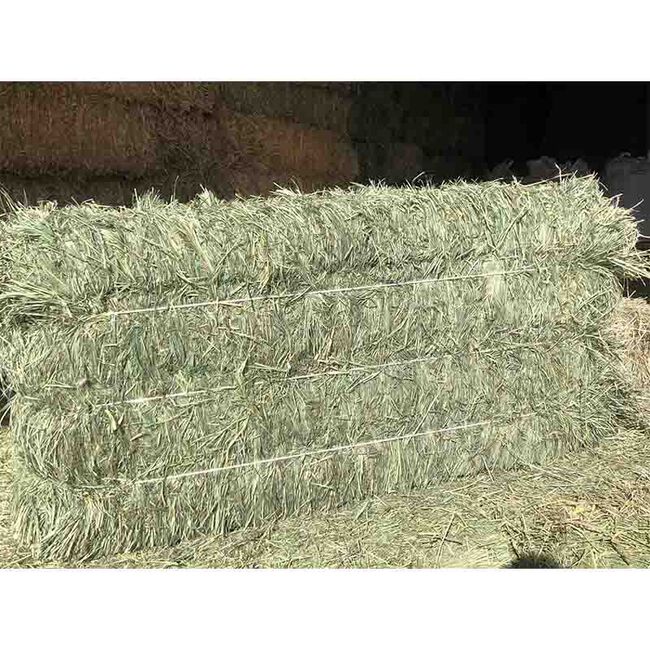 Pleasant View Farms 3-String Western Orchard Grass Bale | The Cheshire ...