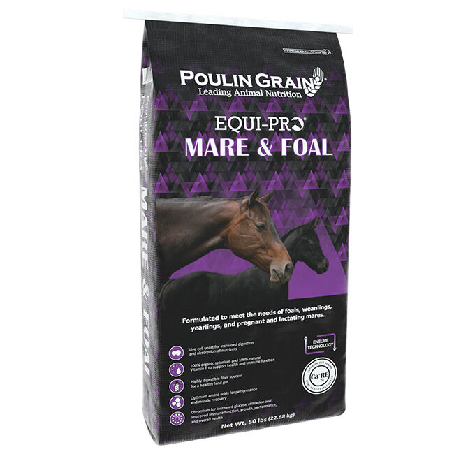 Poulin Grain EQUI-PRO Mare & Foal - Textured - 50 lb | The Cheshire Horse