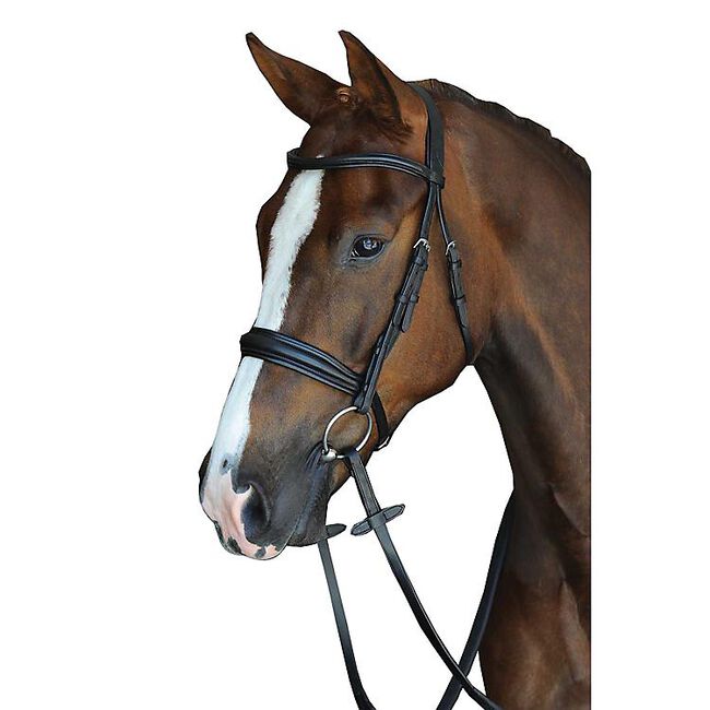 Collegiate Mono Crown Padded Raised Cavesson Bridle | The Cheshire Horse