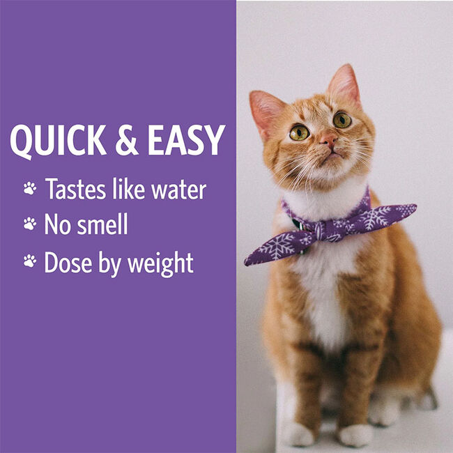 Sovereign Silver Pets Bio-Active Silver Hydrosol - Daily+ Immune ...