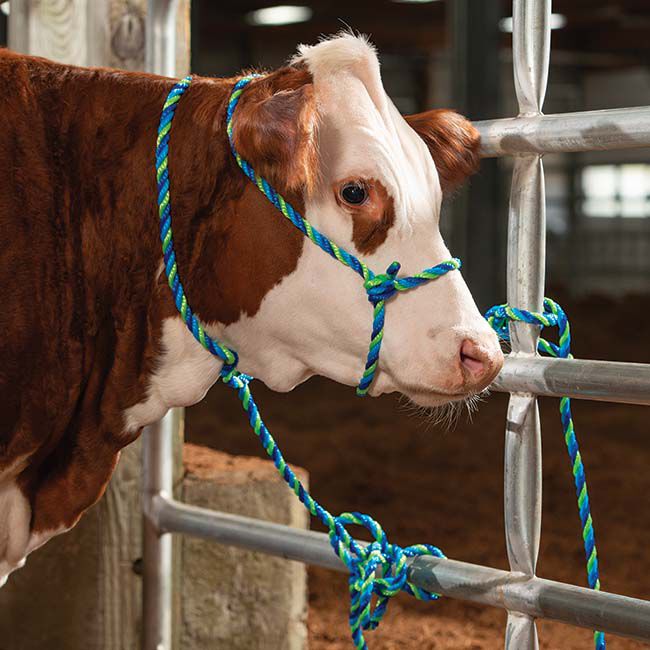 Weaver Livestock Adjustable Poly Neck Rope | The Cheshire Horse