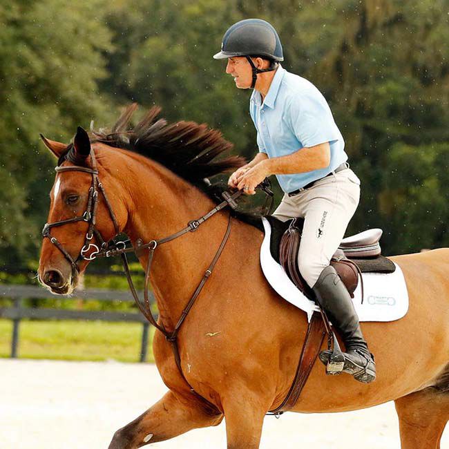 Correct Connect Aaron Vale Rein with 3 Padded Hand Grips | The Cheshire ...