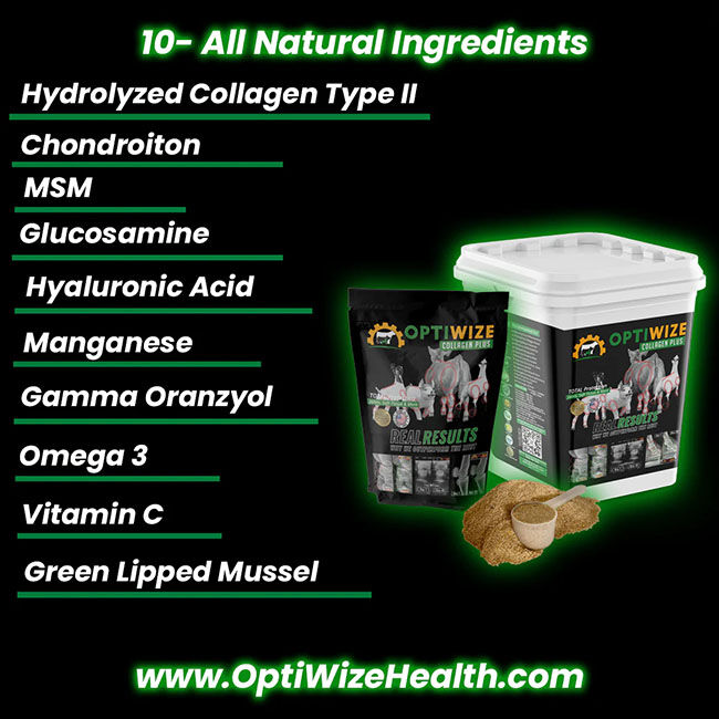 OptiWize Collagen Plus for Livestock | The Cheshire Horse