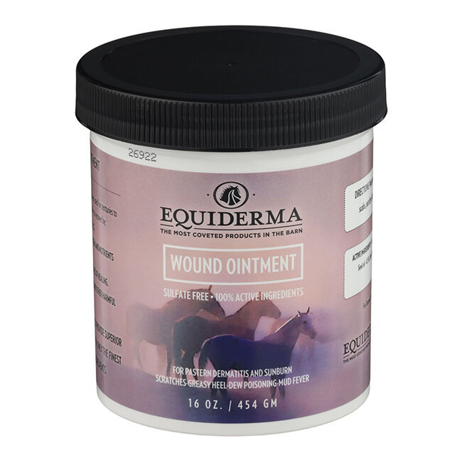 Equiderma Wound Ointment - 16 oz | The Cheshire Horse