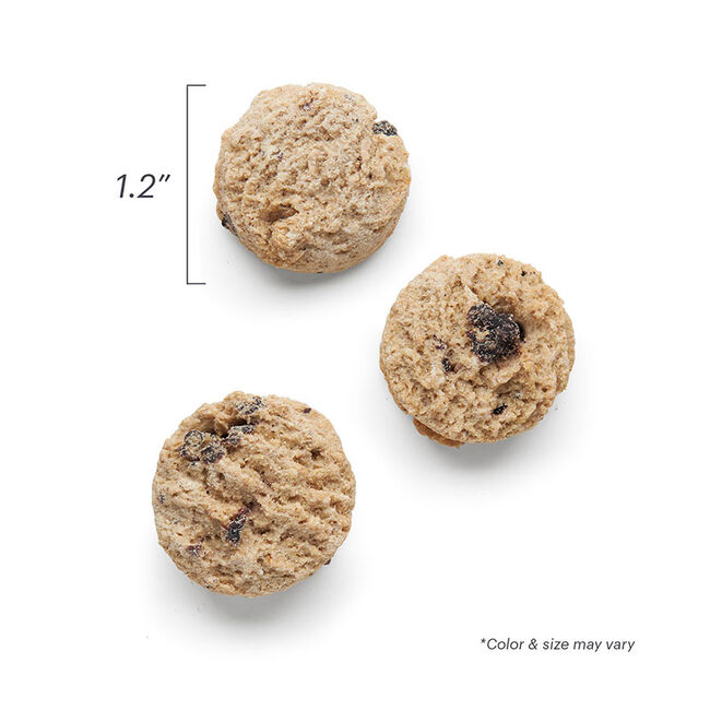 The Honest Kitchen Goat's Milk N' Cookies Probiotic Dog Treats ...