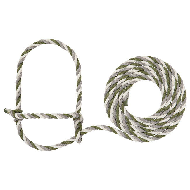 Weaver Livestock Cattle Rope Halter | The Cheshire Horse