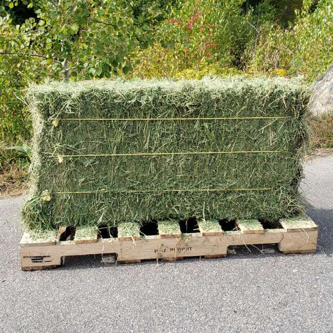 2nd Cut Western Alfalfa - 3-String Bales | The Cheshire Horse