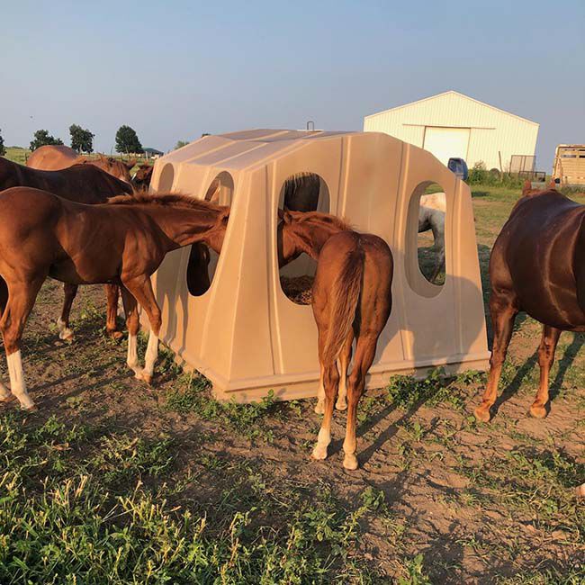 Coon Manufacturing Hay Bonnet | The Cheshire Horse