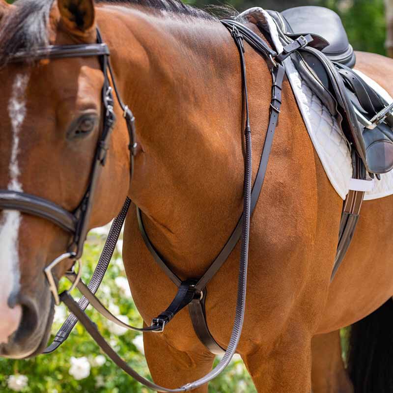 Bobby s authentic English Tack