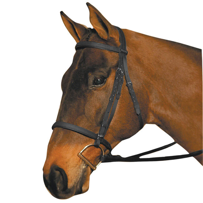 western bridle snaffle