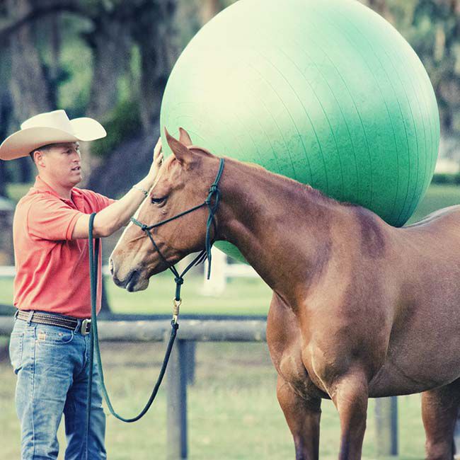 Parelli Green Ball | The Cheshire Horse