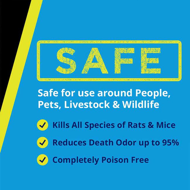 MouseX Non-Toxic Bait Pellet Throw Pack for Mice - 6-Pack | The ...