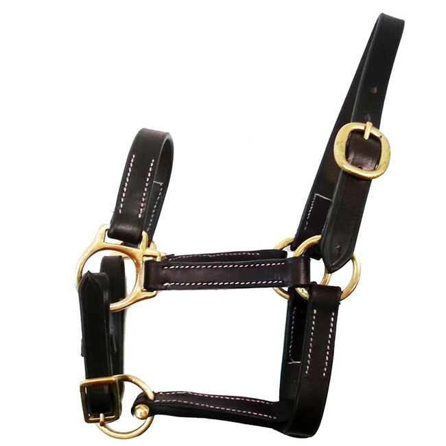 Gatsby Leather Adjustable Turnout Halter without Snap - Havana | The ...