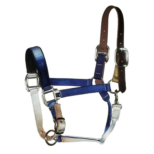 Horse Fare Blues Breakaway Halter | The Cheshire Horse