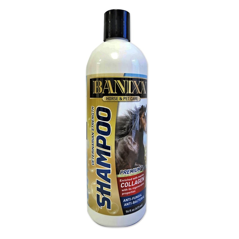 Banixx Medicated Horse Shampoo with Collagen - 1 Quart | The Cheshire Horse
