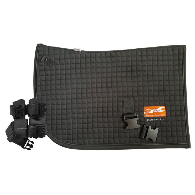 Equicore Concepts Equiband Complete Pro System - Western | The Cheshire ...
