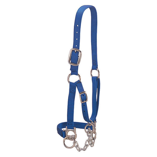 Weaver Heavy-Duty Restraint Halter for Cattle - Blue | The Cheshire Horse