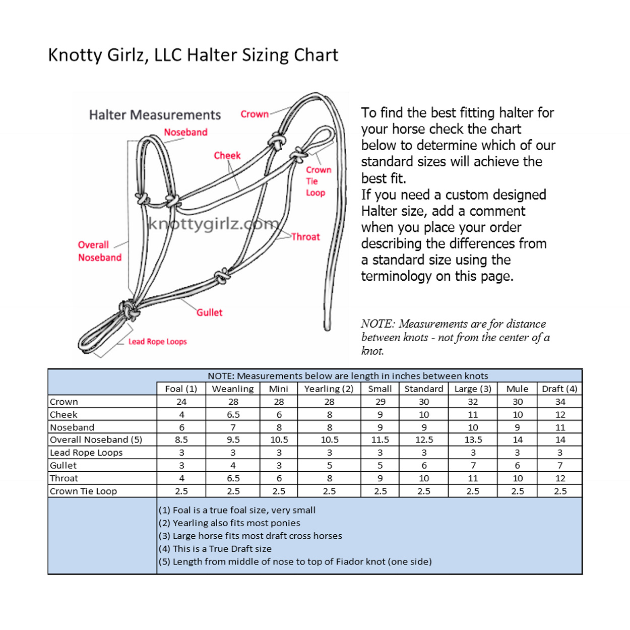 Knotty Girlz Stiff 4-Knot Side Pull Halter with Rings | The Cheshire Horse