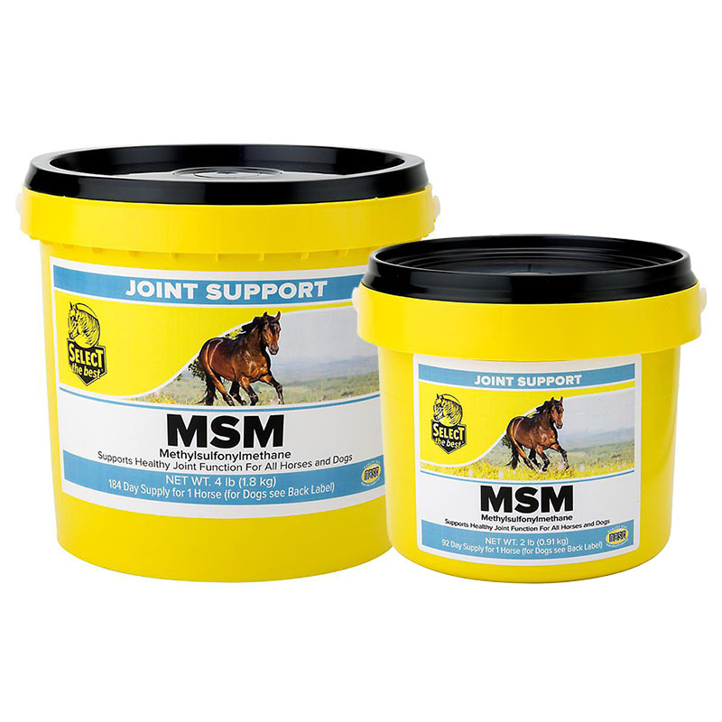 Select the Best MSM | The Cheshire Horse