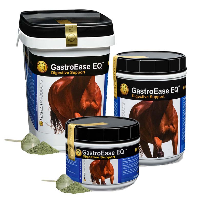 Perfect Products GastroEase EQ - Complete Digestive Support Powder ...